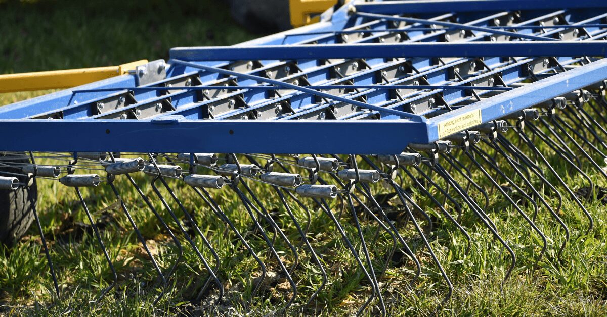 Effiziente Unkrautbekämpfung: Striegeln statt Spritzen